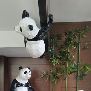 博学多才的历史揭秘 