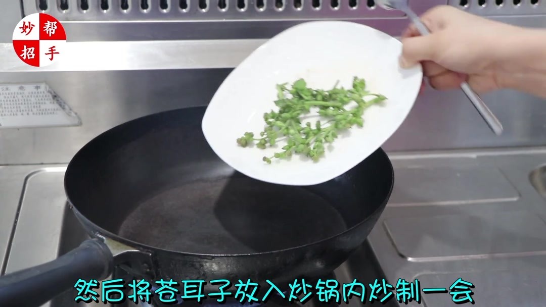 你见过苍耳子吗？原来这么厉害，后悔才知道，越早学会不吃亏