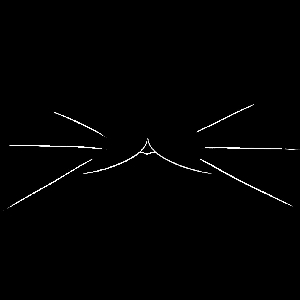 睡眠自由的黑猫 