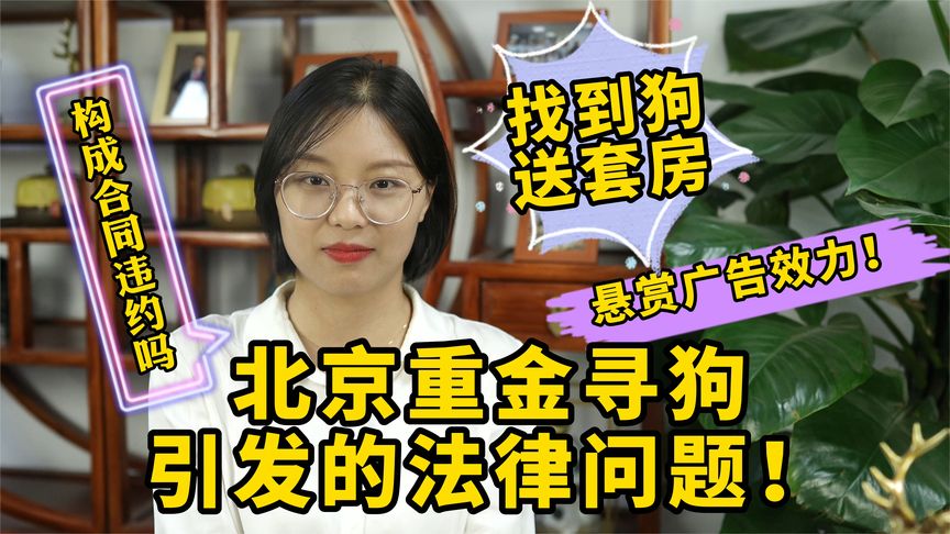 “重金寻狗”悬赏广告是否有效?