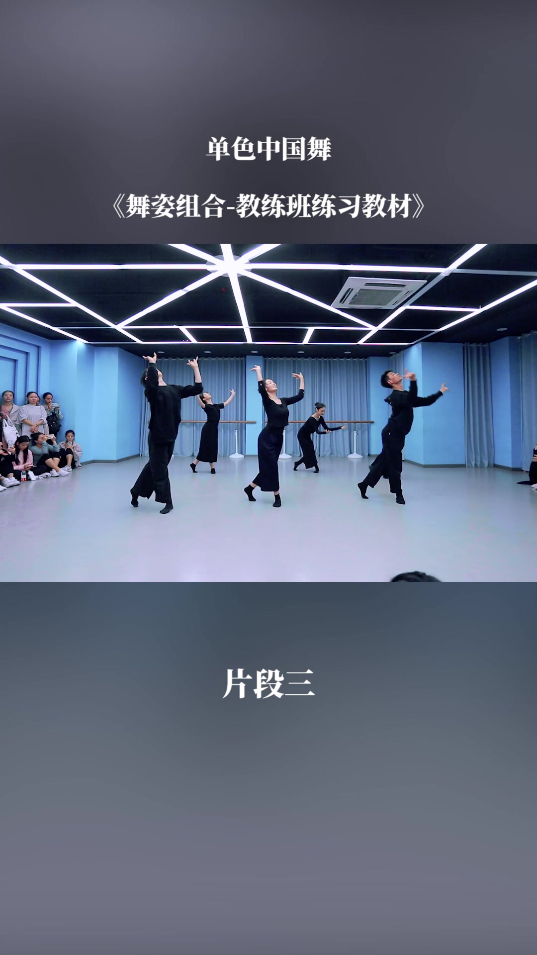 成人古典舞《舞姿组合-教练班练习教材片段三》中国舞考核【单色...
