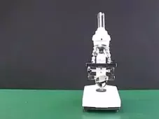 人教版生物-探究实验视频-必修-使用高倍显微镜观察几种细胞_