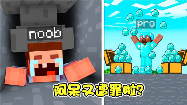 我的世界:阿呆永远都是最惨的那一个