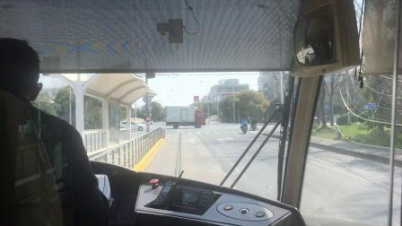 昌乐晨雾《上海张江有轨电车》