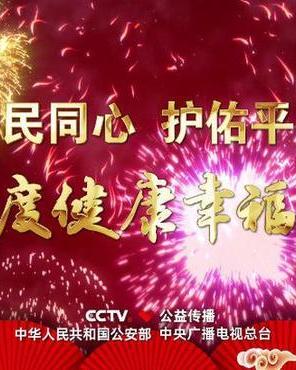 【重磅!公安部治安管理局推出春节元宵节公共安全防范公益宣传片[暖...