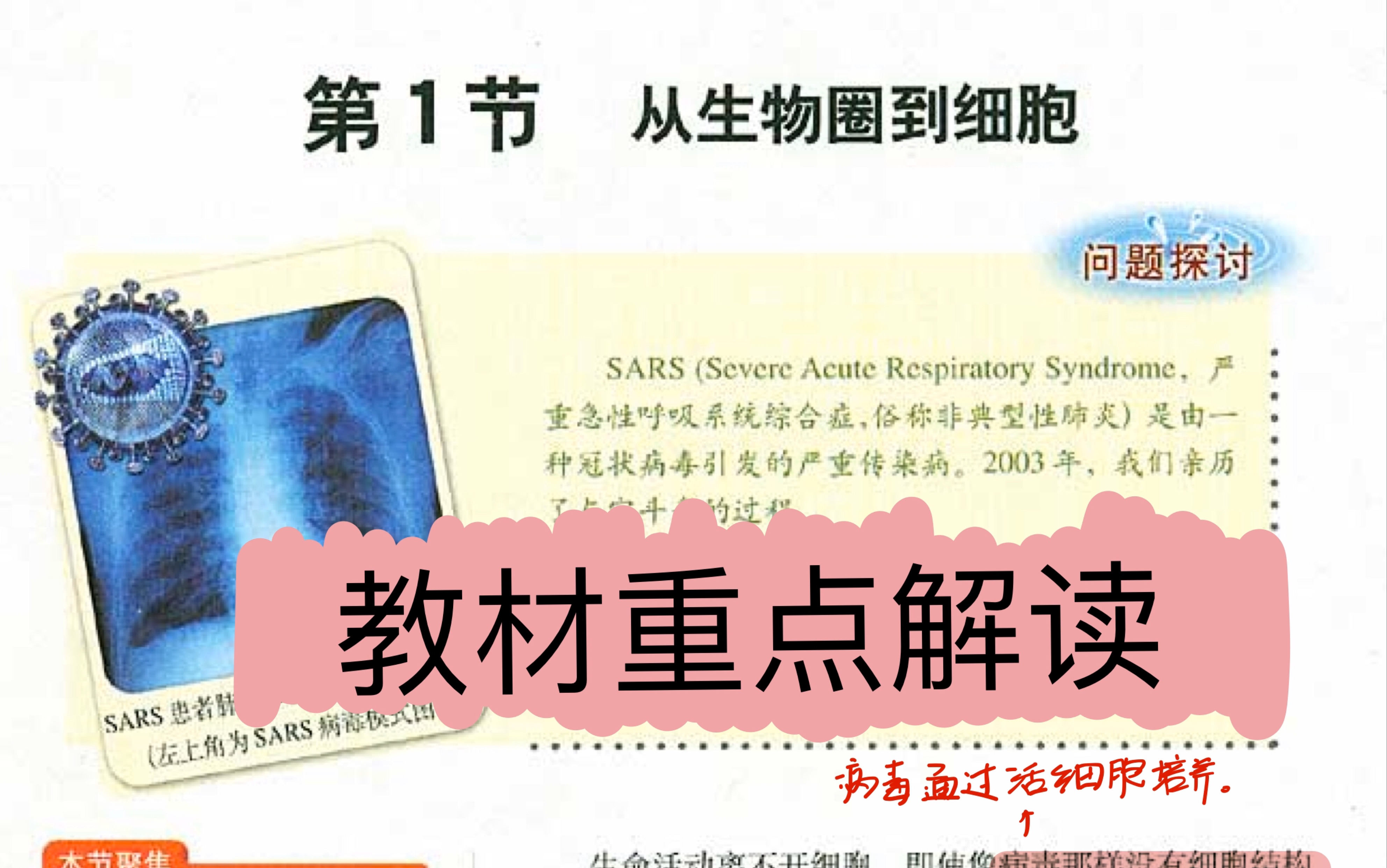 必修一 课本解读 高中生物 生命系统的结构层次 人教版 高三一轮 高一...