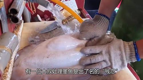 石家庄大叔处理墨鱼真"残忍",直接灌水撑破墨鱼肚,吃法奇葩不够抢
