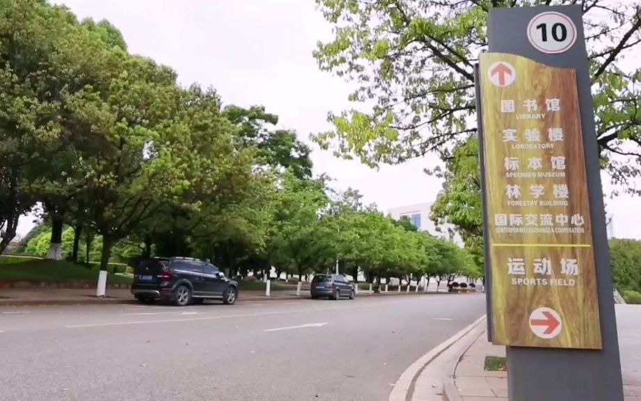 西南林业大学01