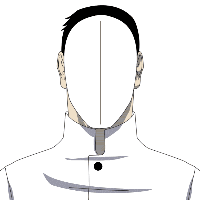 富媒体专家 