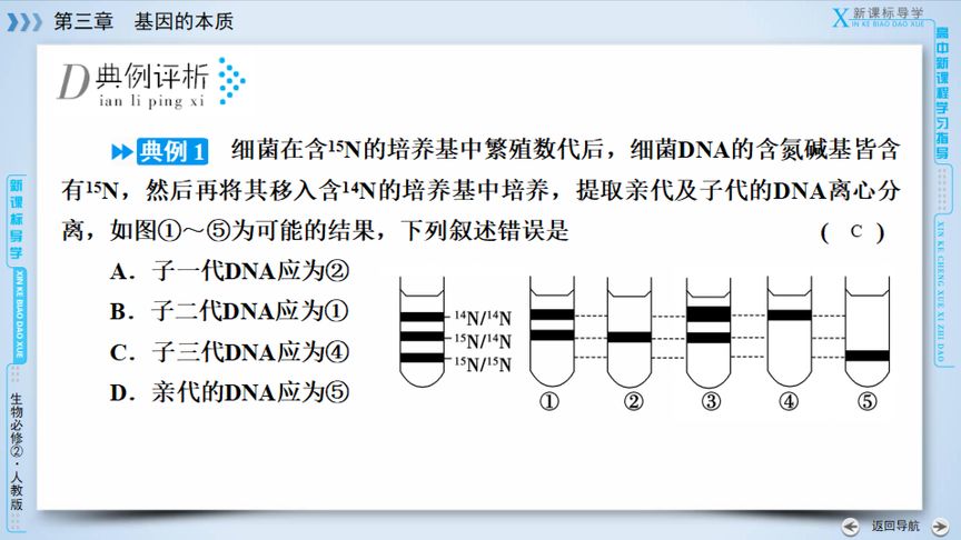 经典习题1——DNA半保留复制实验相关应用,巩固练习你不能少