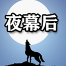 夜幕后游戏解说 