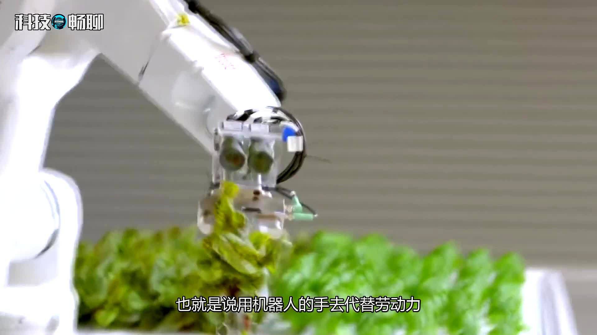 种植全靠机器手的无人农场,产量比传统种植高30倍!关键安全无菌