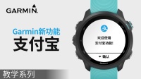 【教学】Garmin新功能－支付宝