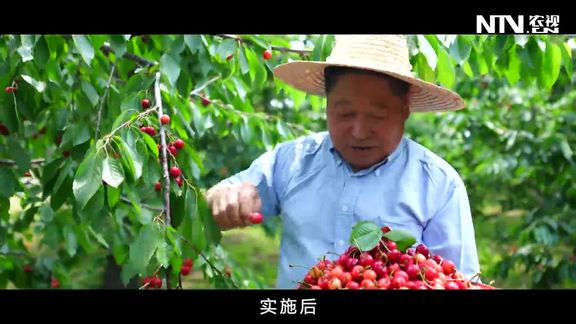 乡村振兴促进法实施的主要意义