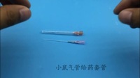 小鼠气管插管实验方法(给药)