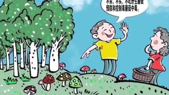 当心,有毒植物已致261人中毒,6人死亡