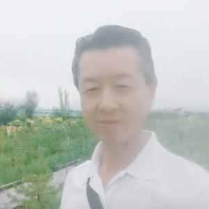 圆梦自由行