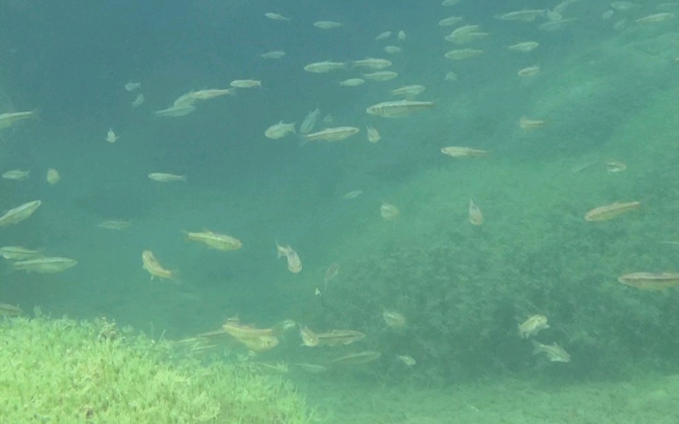 三星手机的防水性能测试