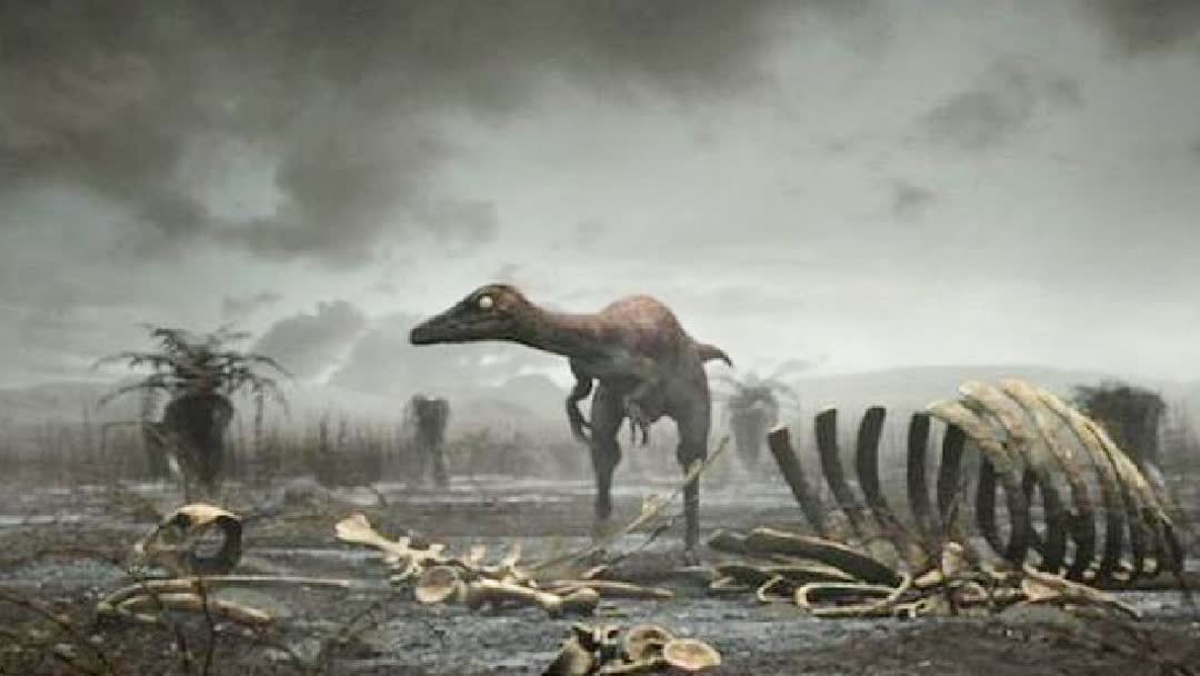 6500万年前恐龙灭绝的画面,一颗直径10公里的小行星撞击地球!