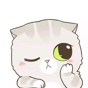 好奇一只喵 