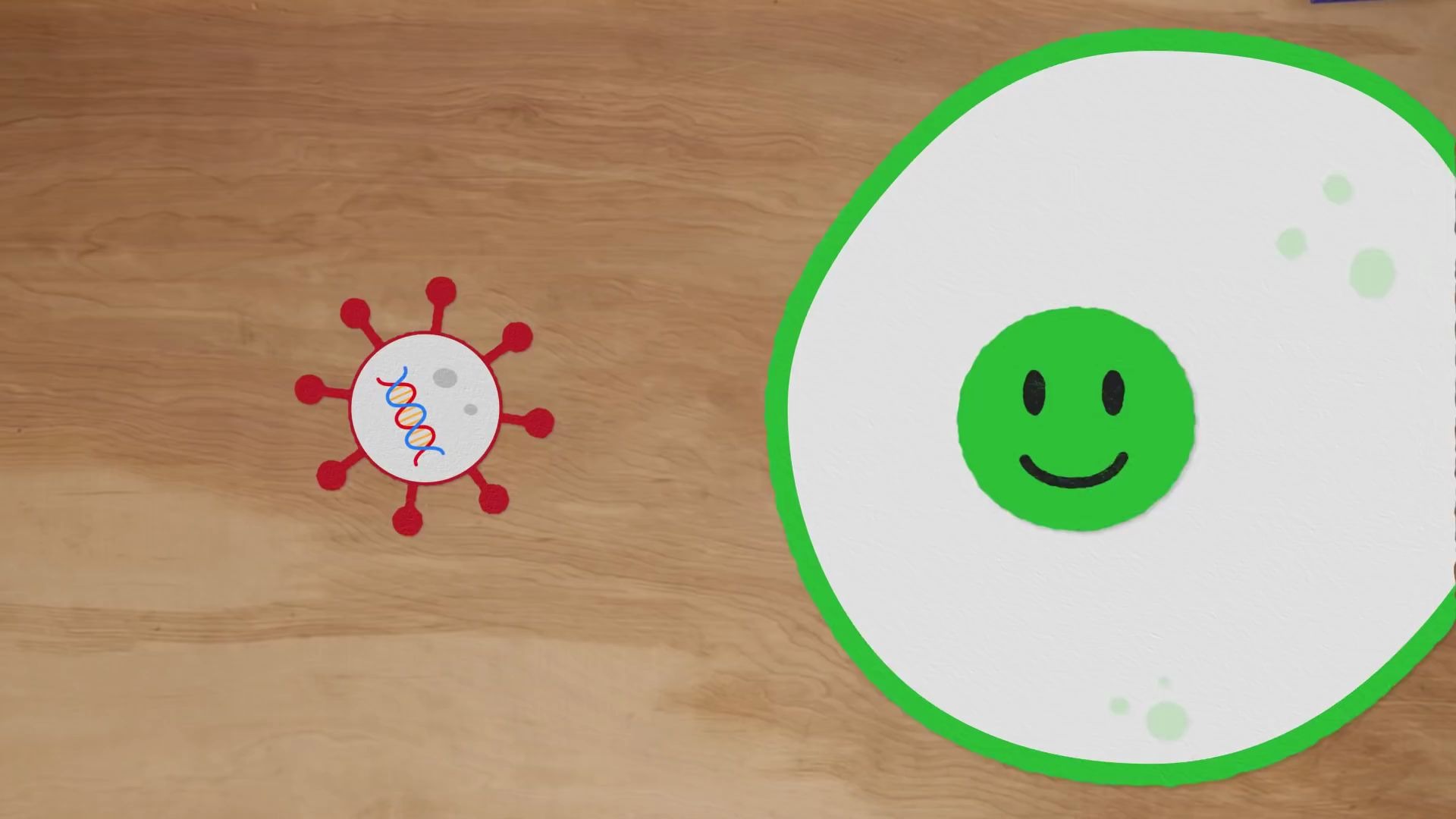 美国科学实验验证新冠病毒传播范围