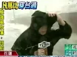 每次台风来临,都会出现这些最强记者