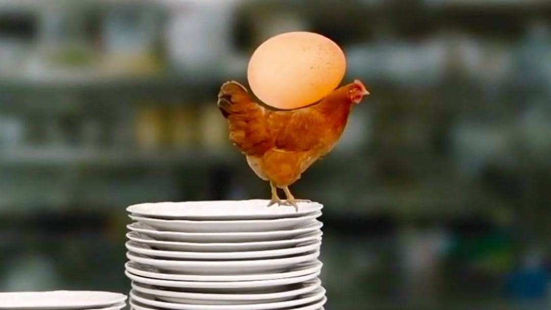 奇妙冒险:母鸡护蛋模拟器,当母亲是伟大的,永远会保护自己孩子