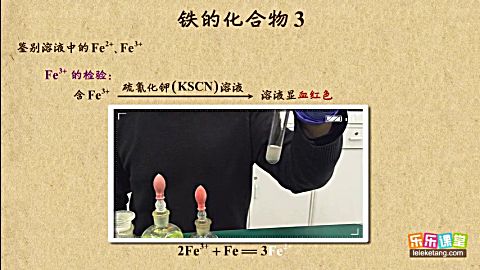 乐乐课堂 高中化学必修1 第60集 铁的化合物(三) 60