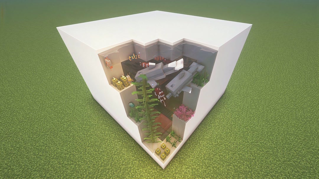 我的世界:墙里养鱼~