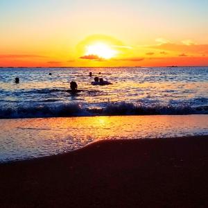 白杨静颐快乐生活 