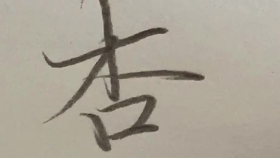 #硬笔书法 #小学生硬笔