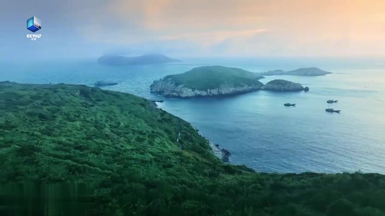 戳视频!一同探寻生物多样性的水下中国
