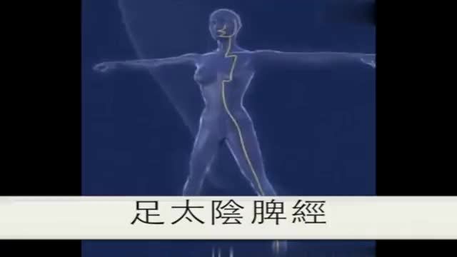 足太阴脾经#医学科普 #健康调理