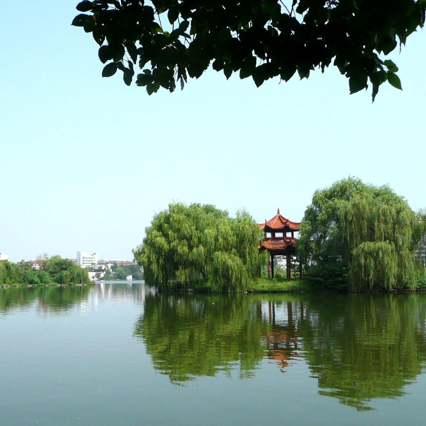 浩然宝贝帅帅帅 