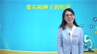 生物七年级上册 人教版 第23集 果实和种子的形成