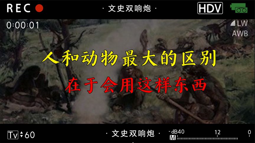 火的使用,使人与动物的区别意义更大