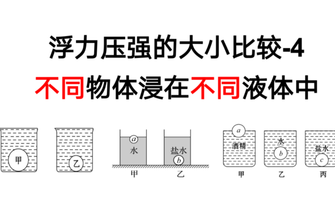 浮力压强综合4:不同物体浸在不同液体中比较浮力