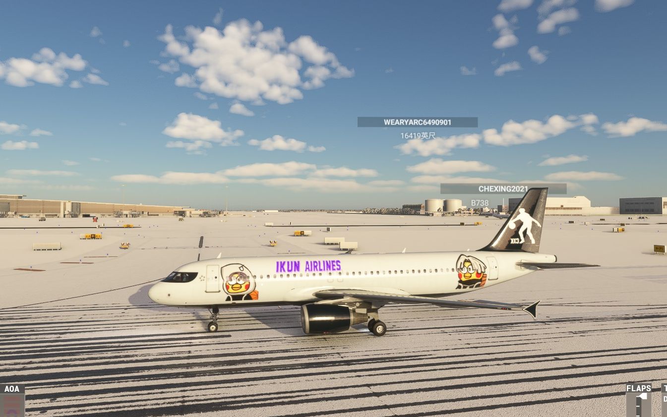 微软模拟飞行IKUN专属涂装!-2022-11-22 10:36:06