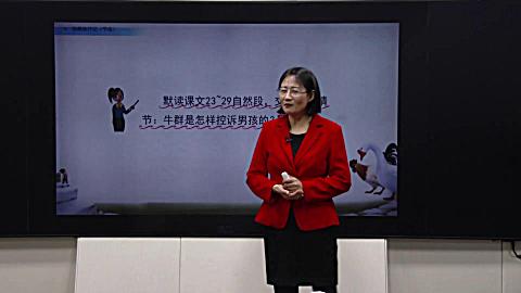 部编版六年级语文下册第6课《骑鹅旅行记(节选)》(二)教学视频课堂实录