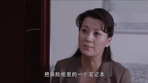 国家审计:什么叫做速度,看看这一段,不得不让人敬佩