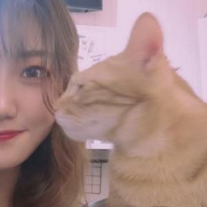 小仙女的络腮胡 