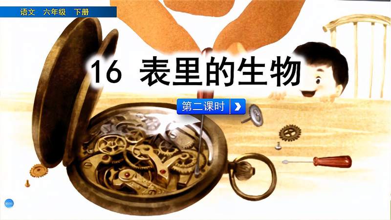 六年级下册语文《16.表里的生物》第2课时,学习课文,巩固基础