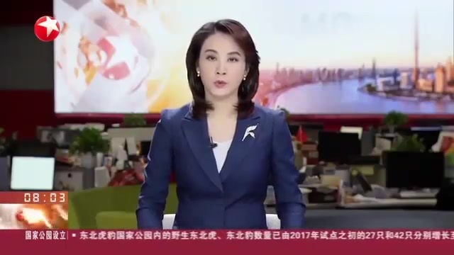 中办、国办印发《关于推动现代职业教育高质量发展的意见》