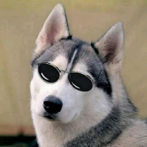 洛河图视频推送号 