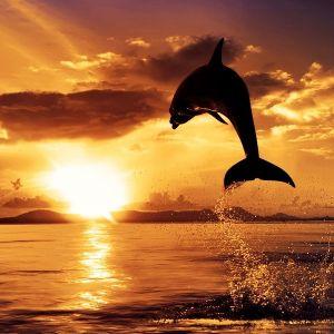 生活怎么写才能完美 