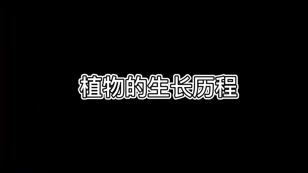 植物的生长历程,漫长且有意义