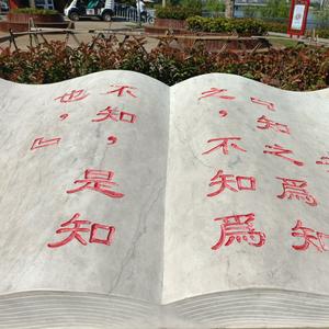辰练思维 