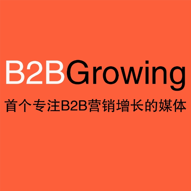 B2B数字营销龙哥 