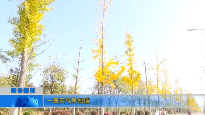 县直城市管理党员志愿服务队集中活动培训会召开