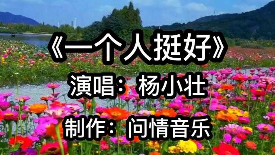 杨小壮《一个人挺好》电话不响了,微信不响了,也不喜欢找人聊天